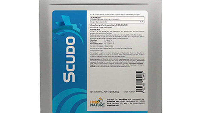 Scudo, Hoya VS | HOYA V.S. - Subotica