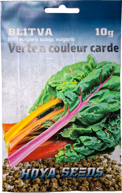 Blitva - Verte a couleur carde | HOYA V.S. - Subotica