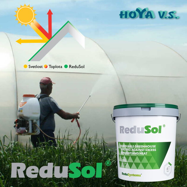MANJE SUNCA - VIŠE SVETLA! | HOYA V.S. - Subotica